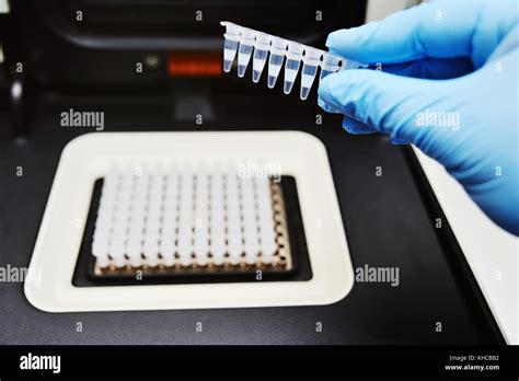 Real Time Pcr High Resolution Stock Photography And Images Alamy