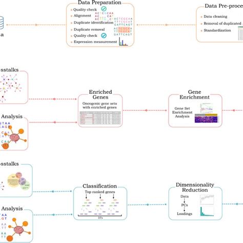 Workflow Of The Current Study Protocol To Attain The Objectives Of