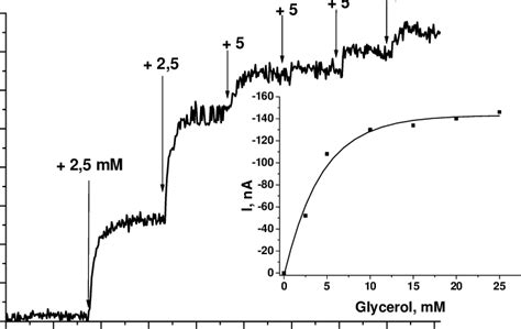 The Dynamics Of The Amperometric Response Development And Working Download Scientific Diagram