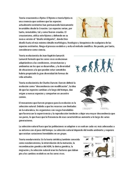 Teoría Fijista Una Visión Contraria A La Evolución En Pocas Palabras