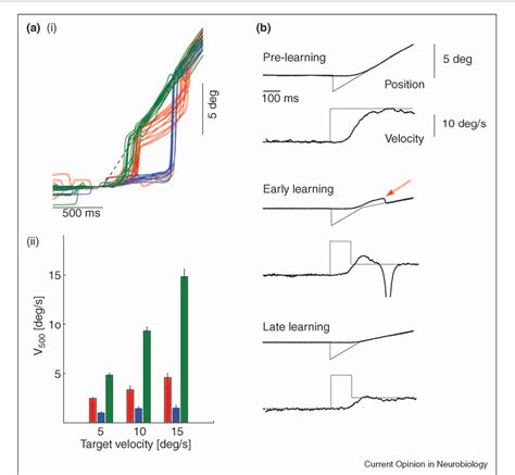 Figure 1 From The Neural Basis Of Smooth Pursuit Eye Movements Semantic Scholar
