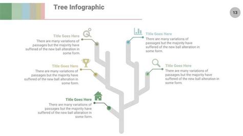 The Anatomy Of A Tree