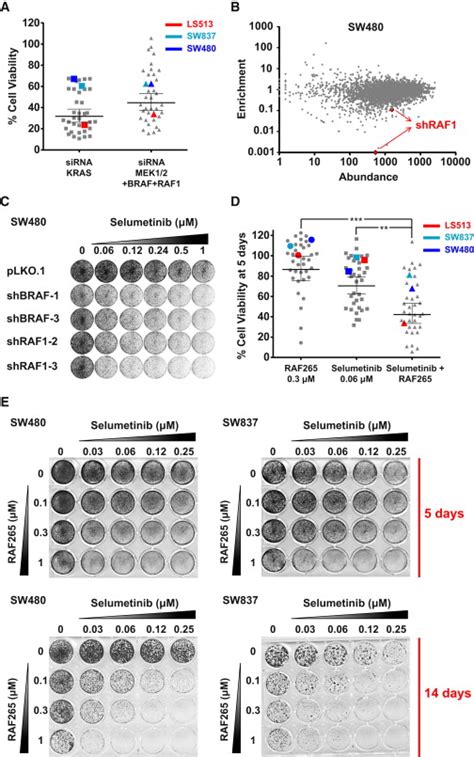 Kras Mutant Crc Cell Lines Are Sensitive To Cosuppression Of Mek1 Mek2