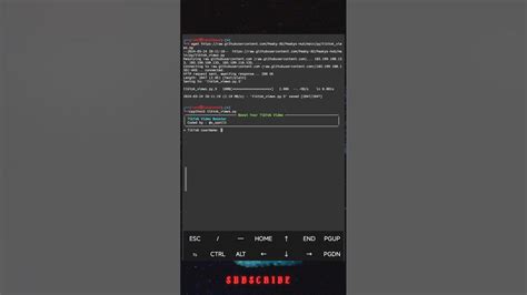 Using Python To Increase Tiktok Views On Kali Using Termux Shorts Youtube