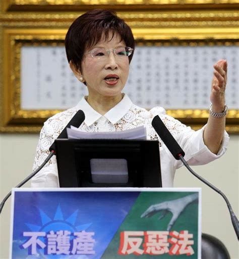 洪秀柱：若從34年開始申報 國庫黃金、故宮寶物當然是黨產 政治 中時