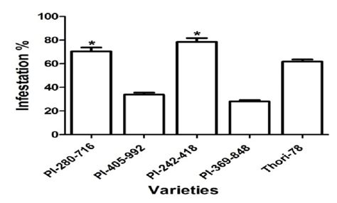 Infestation Of A Helianthi On Different Safflower Varieties At Download Scientific Diagram