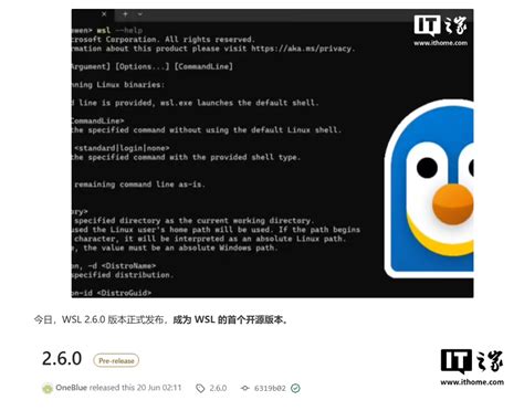 【转it之家】微软 Win11 Linux 子系统（wsl）首个开源版本 260 发布 Community Deepin