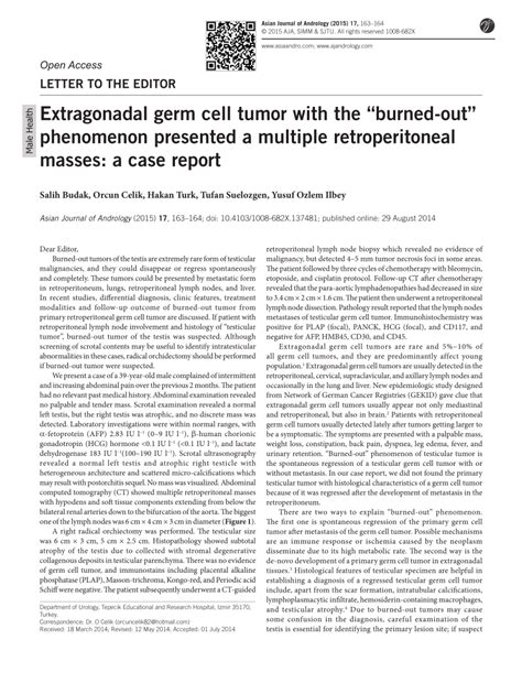 Pdf Extragonadal Germ Cell Tumor With The Burned Out Phenomenon
