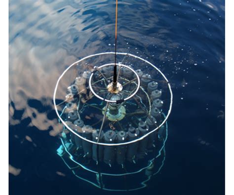 Proper Professional Plankton Sampling Building Mussel At Millport