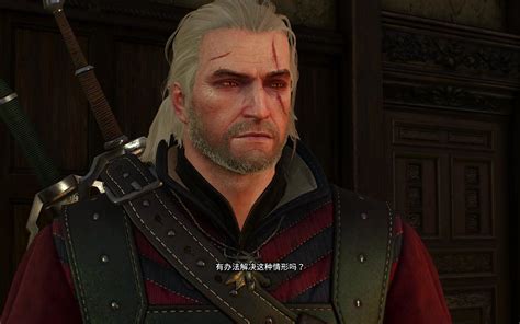 巫师3狩魔委托：门户紧闭 Xiaopang184 Xiaopang184 哔哩哔哩视频