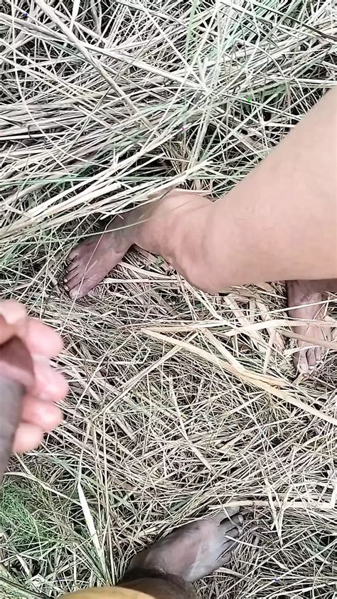 Free Bangladeshi Sex Porn Videos Xhamster