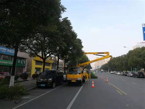 绿化隔离带修复 提升道路形象
