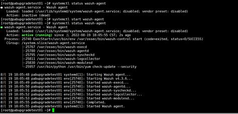 wazuh 代理端安装 axing的星空 博客园