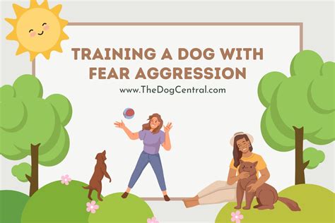 How Can I Help My Dog With Fear Aggression