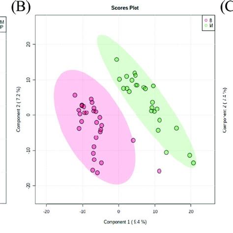 Oscar Study Partial Least Squares Discriminant Analysis Pls Da Of