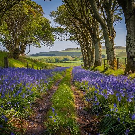 Premium Photo A Path Between Trees With Purple Flowers In The Middle