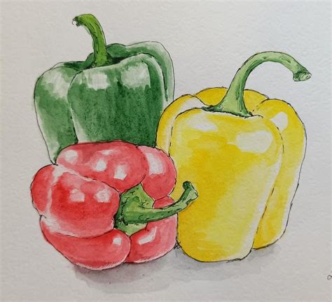 Перцы акварель в 2024 г Акварель Акварельные иллюстрации Рисунки