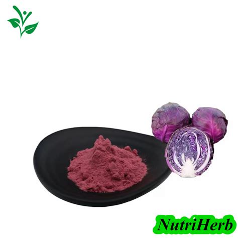 Organic Certified Red Cabbage Extract Red Cabbage Colour Powder Red