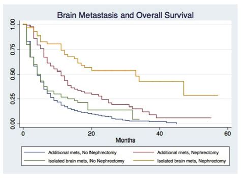 Aua 2018 Renal Cell Carcinoma And Brain Metastasis A Seer Analysis