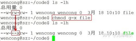 Linux 常用命令 用户、权限管理 知乎