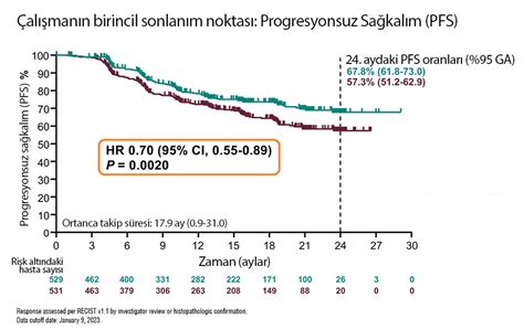 Yüksek Riskli Lokal İleri Serviks Rahim Ağzı Kanserinde İmmünoterapi