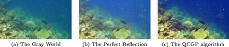 Underwater Image Color Correction Download Scientific Diagram