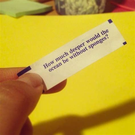Funny Fortune Cookies Fortune Cookie Quotes Funny Fortunes Funny