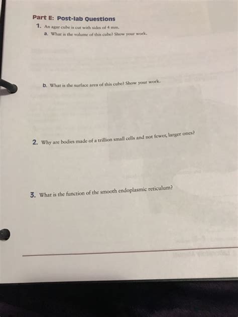 solved part e post lab questions 1 an agar cube is cut