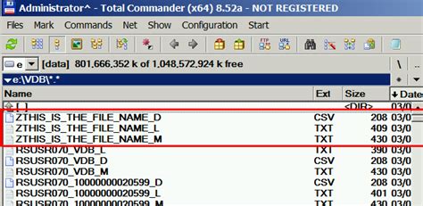 how to define a custom fixed naming convention for flat file export in