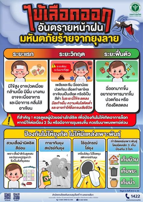 ไข้เลือดออก ภัยเงียบจากยุงลาย เช็กอาการเสี่ยงระยะแรกสังเกตเห็นได้