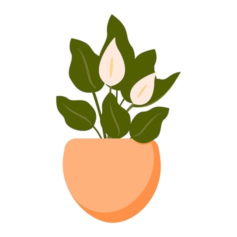 냄비에 Spathiphyllum 실내 꽃의 벡터 일러스트 레이 션 흰색 배경에 고립 프리미엄 벡터