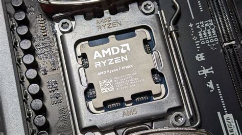 Image Processor Sockets Cpu Amd Zen 5 Everything We Know About