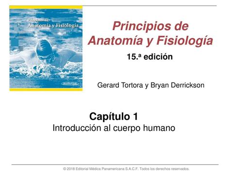 Resumenes Tortora UDocz