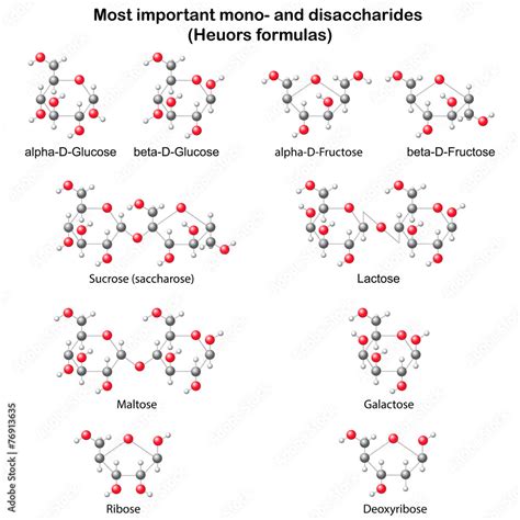 Chemical Structural Models Of Main Mono And Disaccharides Stock Vector Adobe Stock