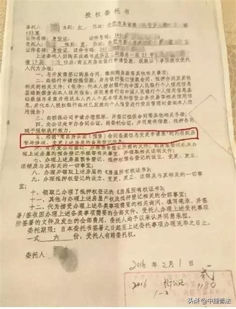 套路深！婚後共同買房妻子要離婚才發現自己只佔1的份額！夫妻購房產權證該怎麼登記？ 每日頭條