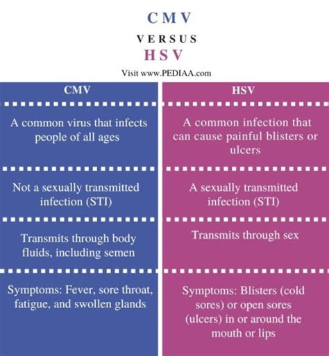 What Is The Difference Between Cmv And Hsv Pediaacom