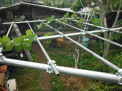 単管パイプを使ってキウイの棚を自作する 自給自足の小さな暮らしーろん農園ー