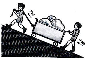 NCERT Th CLASS SCIENCE CHAPTER FORCE AND LAWS OF MOTION