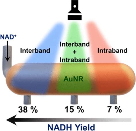 Deciphering The Role Of Light Excitation Attributes In Plasmonic Photocatalysis The Case Of