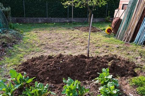 How To Rotate Crops In A Small Garden Bed Effectively