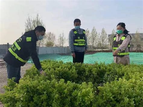 济宁市城市管理局 城市运行管理 党员示范做表率环境整治出成效