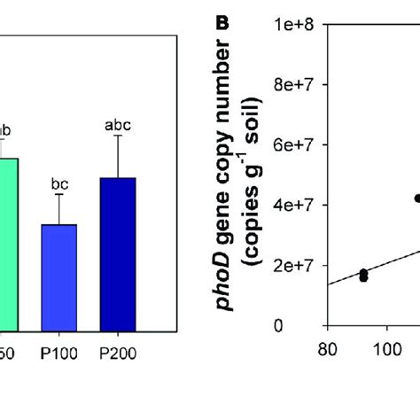 Phod Gene Copy Numbers In Soil A Correlation Between Phod Gene