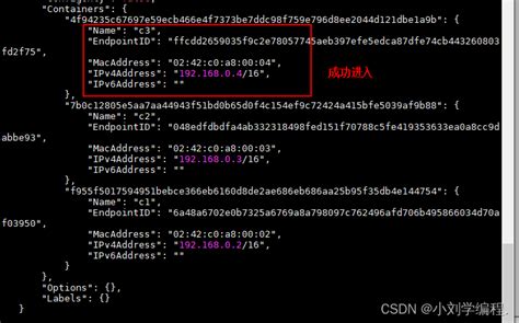 Docker Docker安装nginx Csdn博客