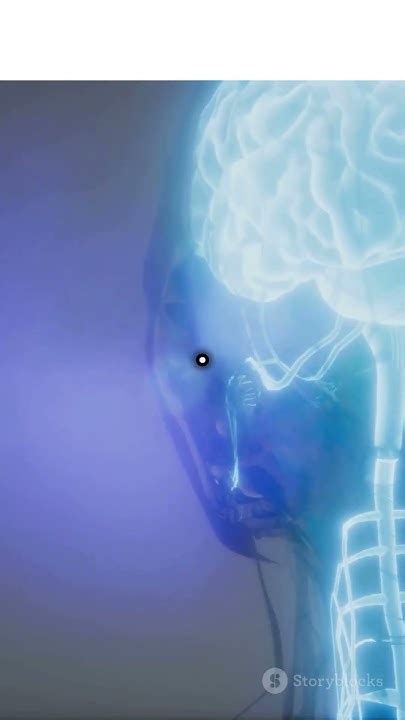 How To Implement Machine Learning In Node Js Lets Know With In 60 Seconds Machinelearning