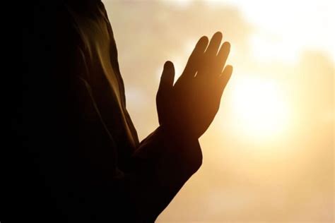 Lodolite Meanings Properties And Uses