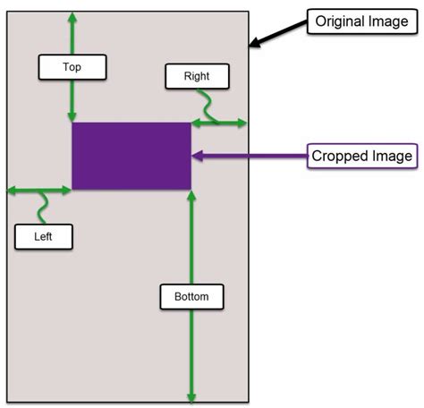 How To Crop An Image Using WIA In VBA DEVelopers HUT