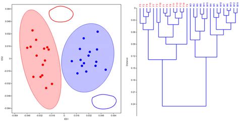 Sexual Systems In Fossils Figures
