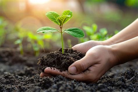 Comment financer un projet de rénovation écologique avec 25 000