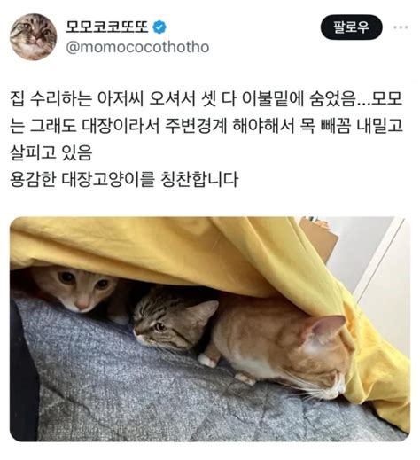 집 수리하는 아저씨 오셔서 셋 다 숨음
