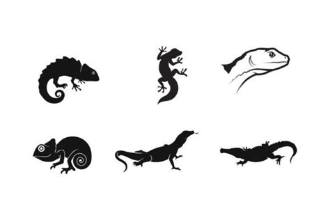 Lizard And Reptile Logo Icon Vector Graphic By Anggasaputro4489 · Creative Fabrica